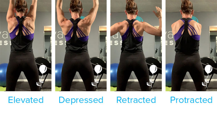 Scapular Stability 101: A Simple Warm-Up Progression for the Upper Body ...